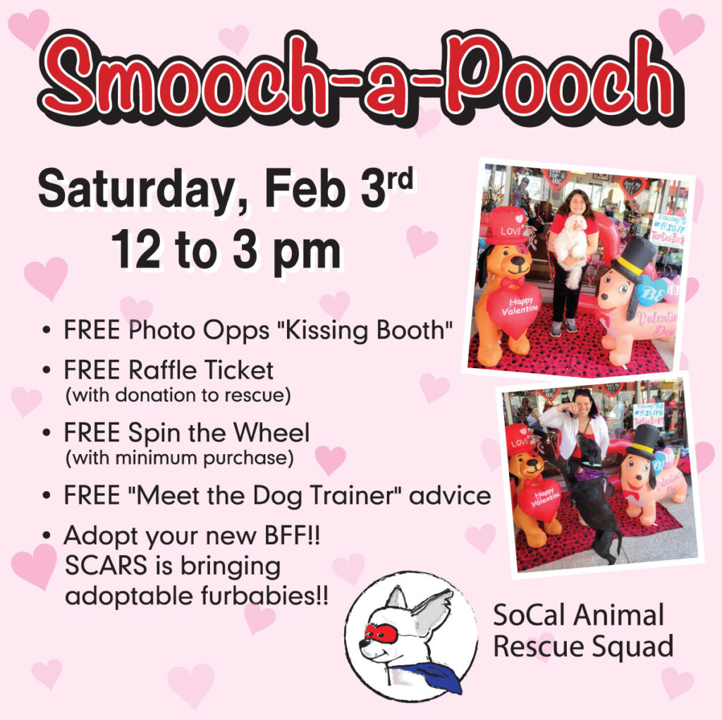 Learn About Placeholder Content - TOP DOG Barkery